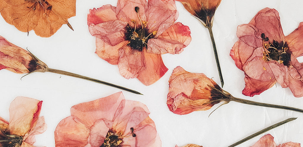 In Conversation With: Jennifer Darr | French Connection UK