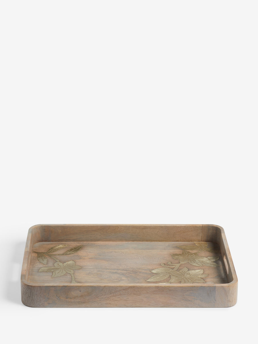 Planters | Copper Planters | Stand & Hanging | French Connection UK