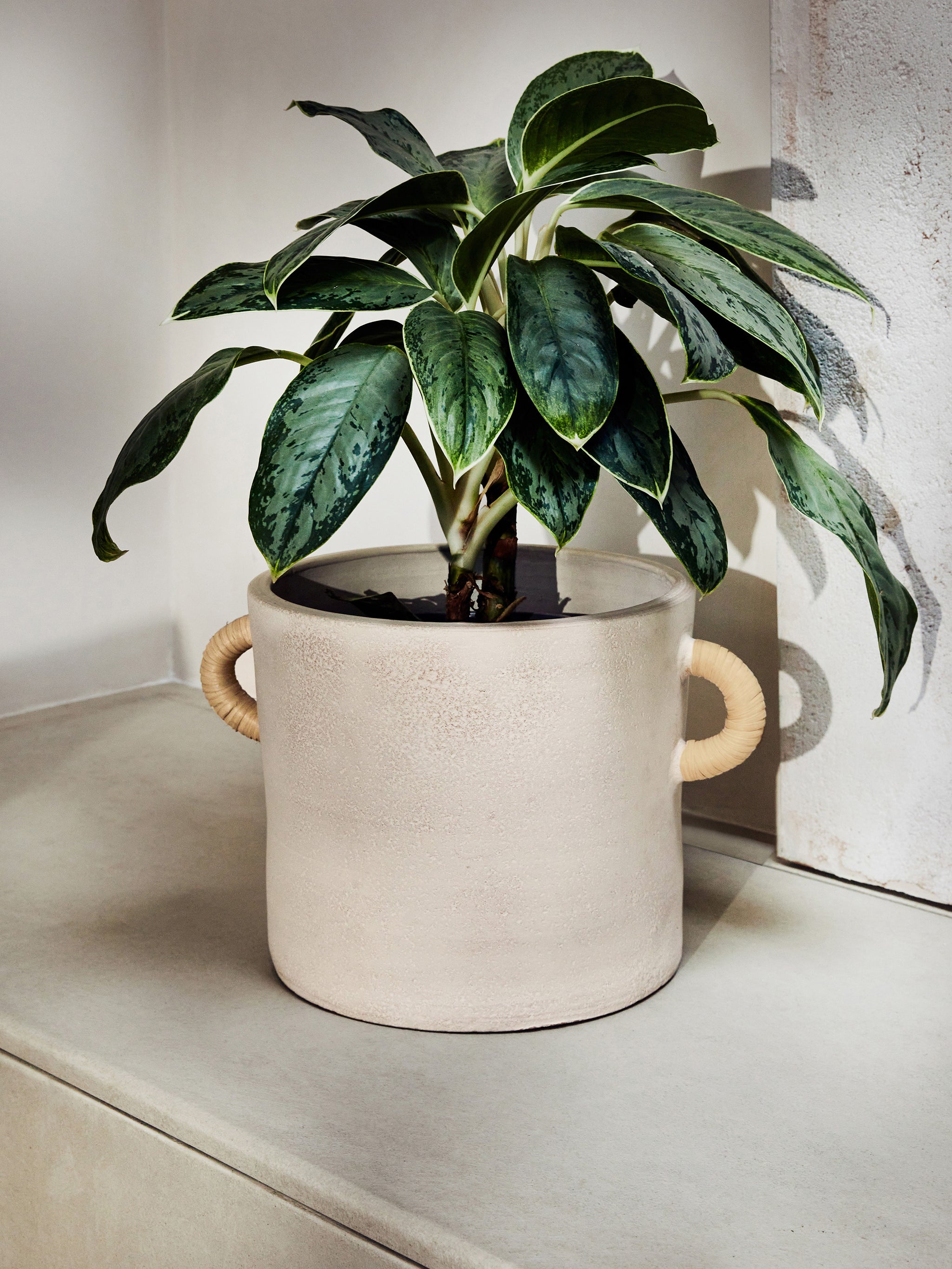 Planters | Copper Planters | Stand & Hanging | French Connection UK